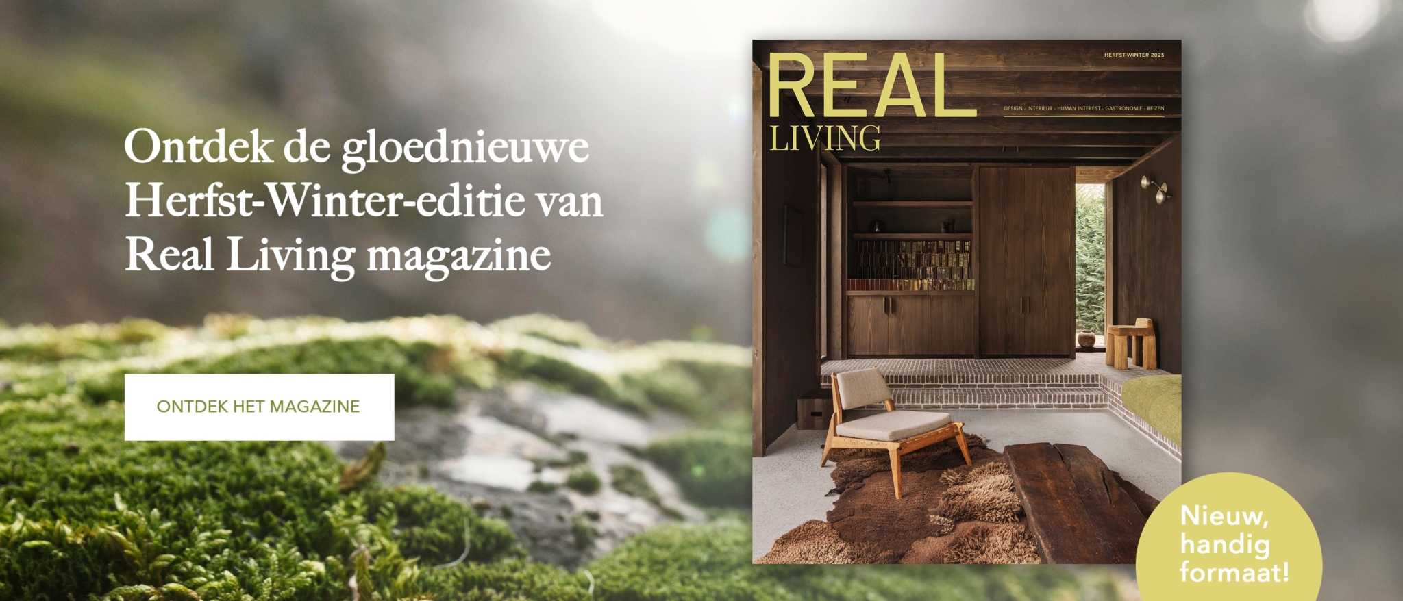 Reis van groei, verbinding en authentieke zelfexpressie – Real Living ...